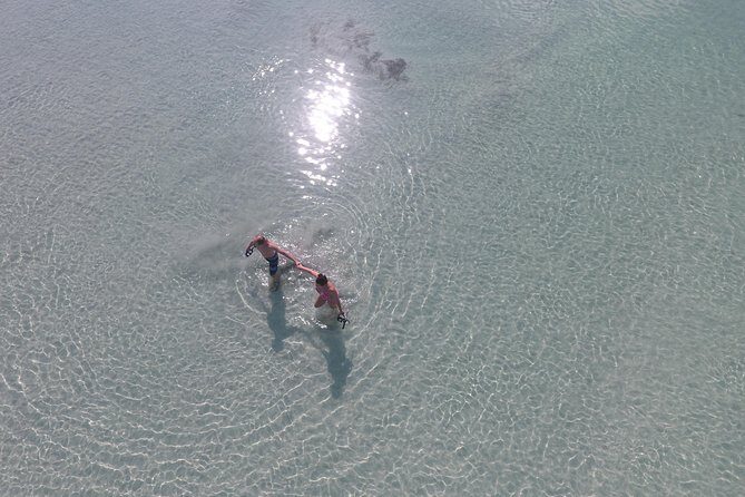 Key West Safari Eco Sandbar Tour Adventure with Snorkeling - FAQ