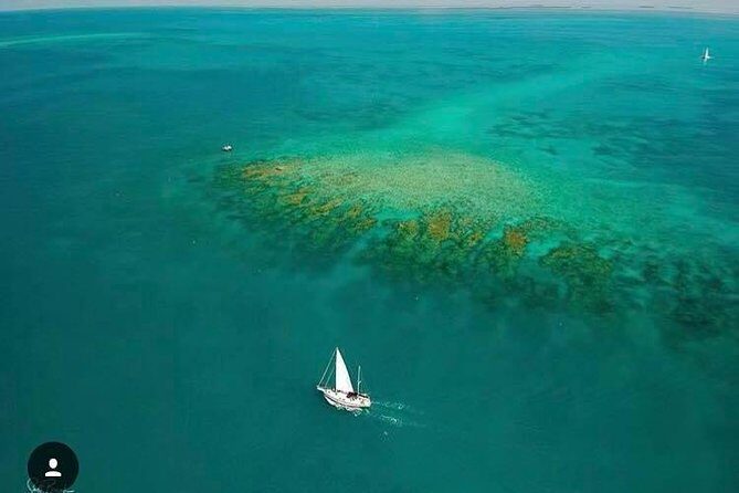 Key West Sailing & Snorkeling: A Reef Adventure - Wrapping Up
