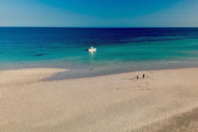 Key West Sandbar Charter - Discovering Key West Sandbar Charter in Detail