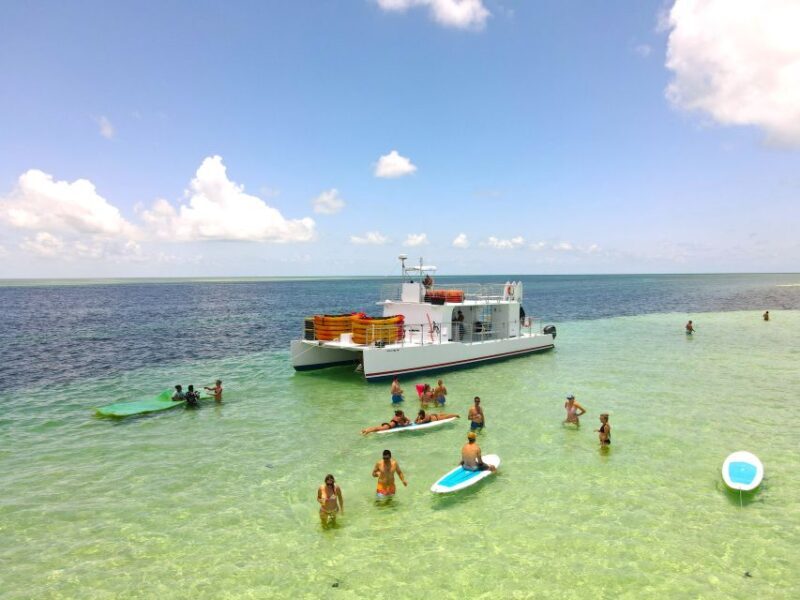 Key West: Sandbar Excursion & Kayak Tour with Lunch & Drinks - Why the Guides Make All the Difference