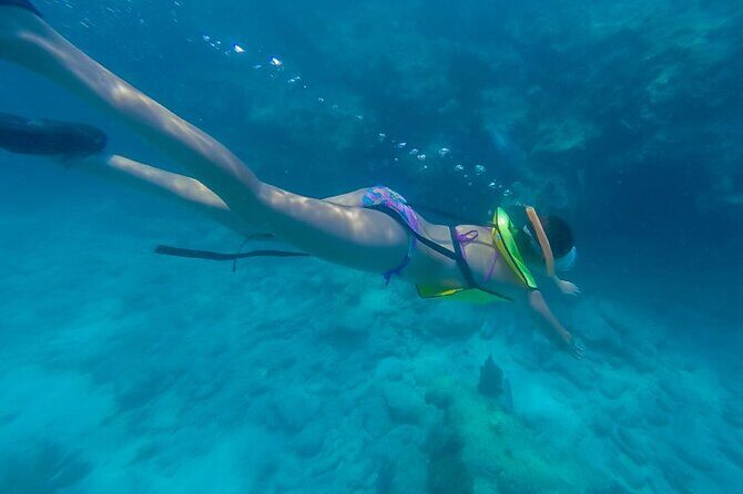 Key West Schooner Backcountry Eco Tour Sail Snorkel and Kayak - An Authentic Look at the Key West Backcountry Eco Tour