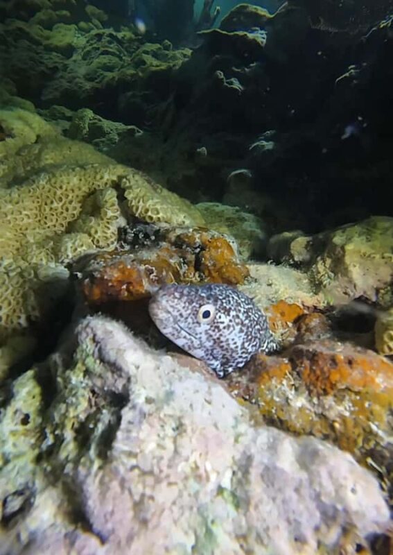 Key West: Scuba Diving Refresher Course - Key Points