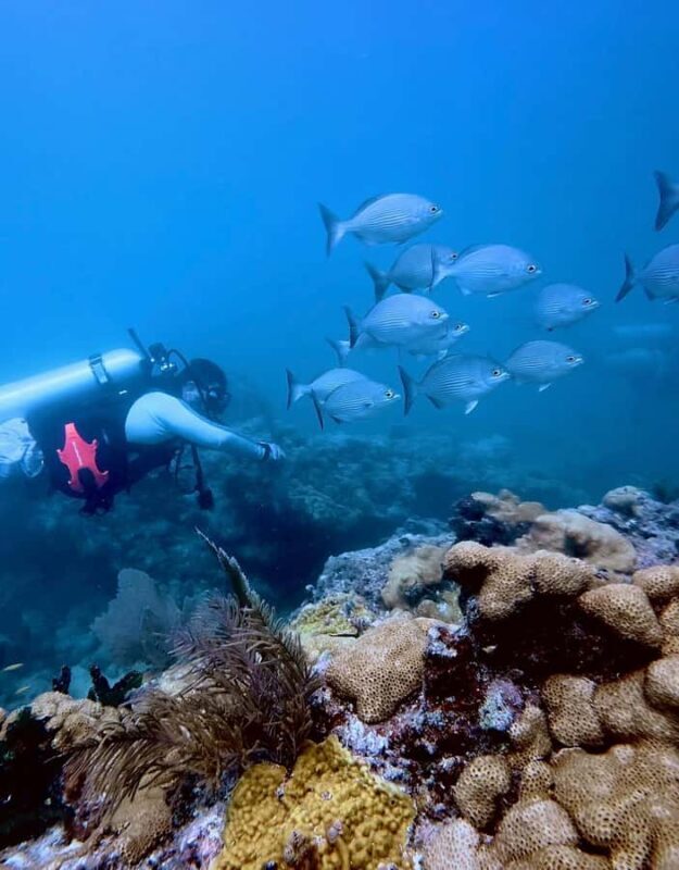Key West: Scuba Diving Refresher Course - An In-Depth Look at the Key West Scuba Refresher Course