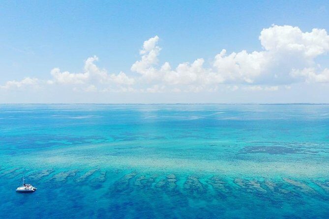 Key West Snorkeling with Breakfast and Unlimited Mimosas - Practical Details & Tips for Travelers