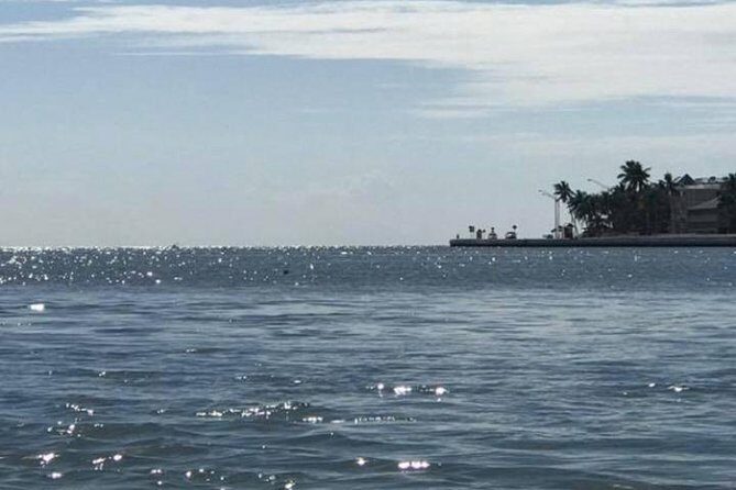 Key West Stand Up Paddleboard Rental - Introduction