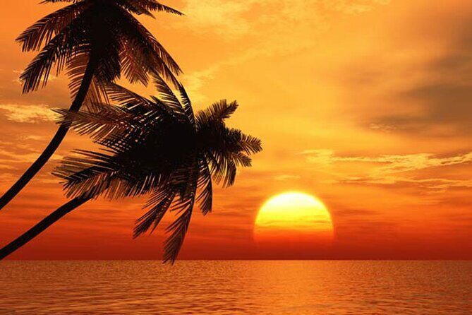Key West Tiki Bar Sunset Cruise (by the seat) - The Details That Make It Stand Out