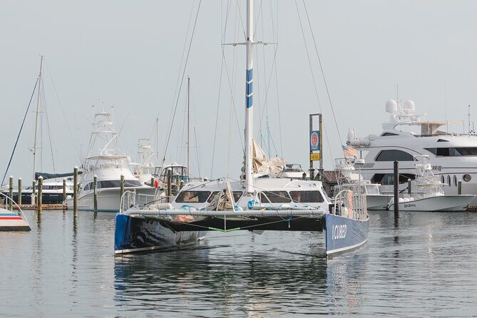 Key West's Favorite Afternoon Dolphin Sail - Who This Tour Is Best For