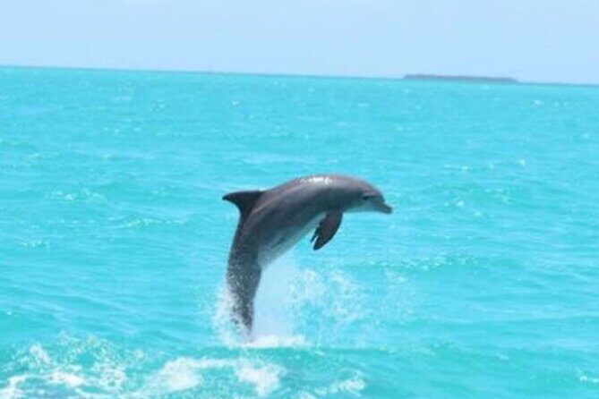 Key West's Favorite Afternoon Dolphin Sail - FAQs