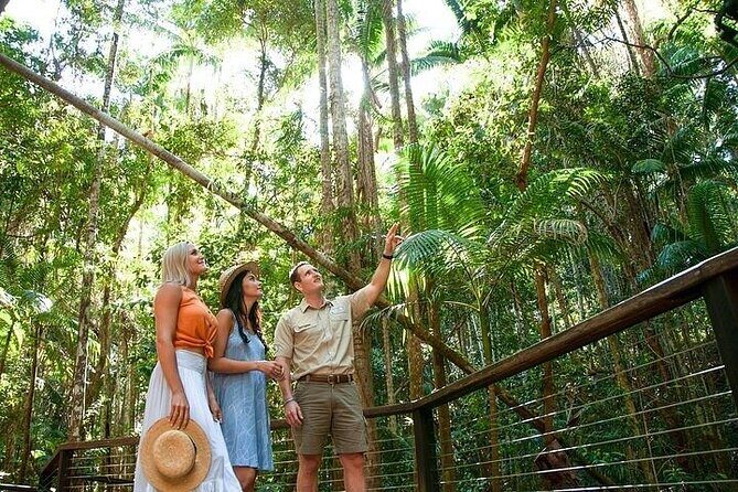 K'Gari (Fraser Island) 3-Day Getaway from Hervey Bay + Illumina - Key Points