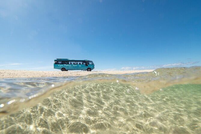 K'Gari (Fraser Island) 3-Day Getaway from Hervey Bay + Illumina - Who Will Appreciate This Tour?