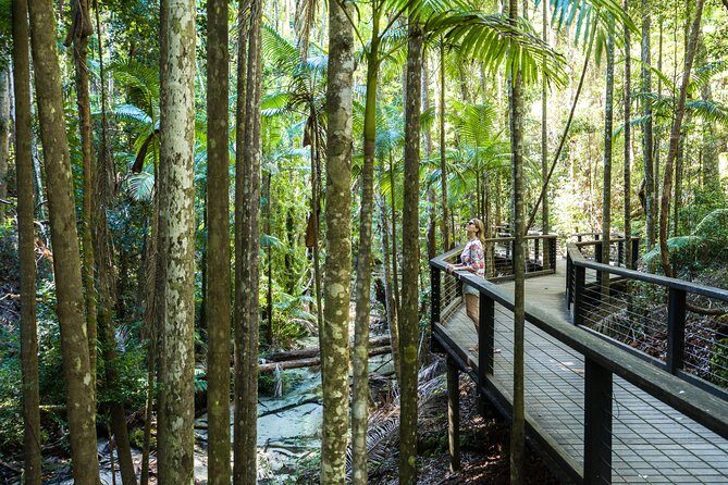 K'gari (Fraser Island) All Inclusive Day Tour - An Introduction to Fraser Island’s All-Inclusive Tour