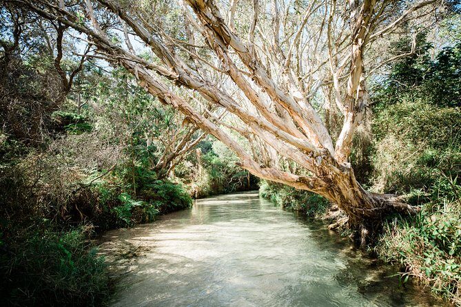 K'gari (Fraser Island) All Inclusive Day Tour - Who Should Book This Tour?