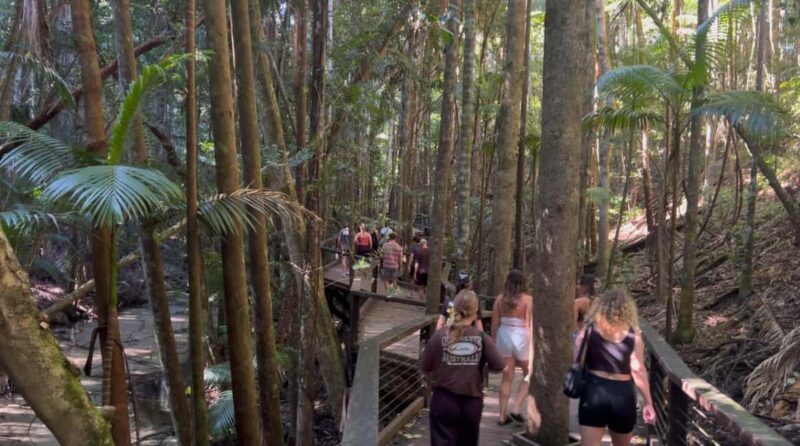 K'gari (Fraser Island) Small-Group Tour From Noosa - FAQ