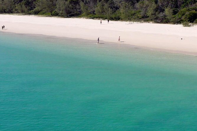 K'gari (Fraser Island) West Coast Half Day Cruise from Hervey Bay - Authentic Experiences from Fellow Travelers
