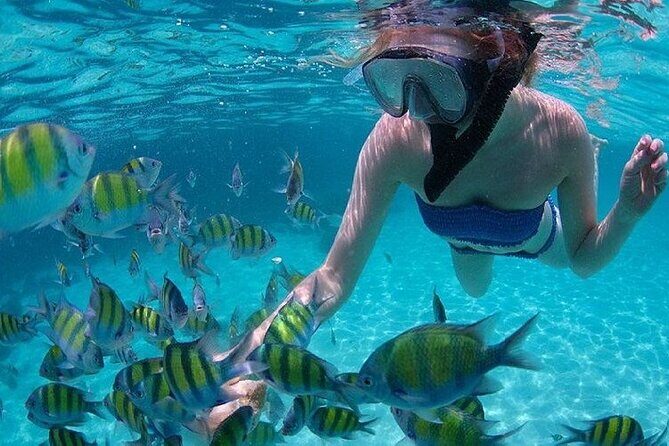 Khai Island Full Day Tour from Phuket - The Itinerary: A Closer Look