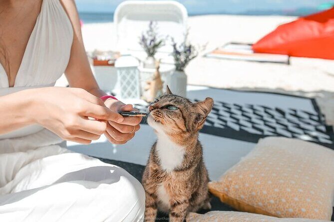 Khai Island Speedboat: Island Hopper Trip - The Sum Up