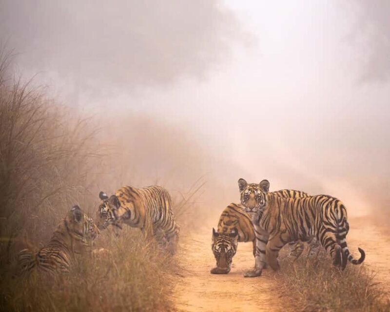 Khajuraho: 3 Day Temples Tour with Guide and Transport - Final Thoughts