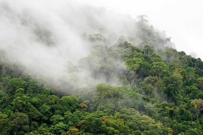 Khao Ke 2-5 Days Private Car Charter-Yunshen Discovery Journey - FAQ