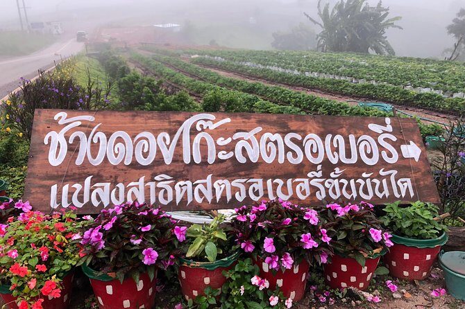 Khao Kho 3 Days 2 Nights from Bangkok - FAQ: Practical Questions Answered