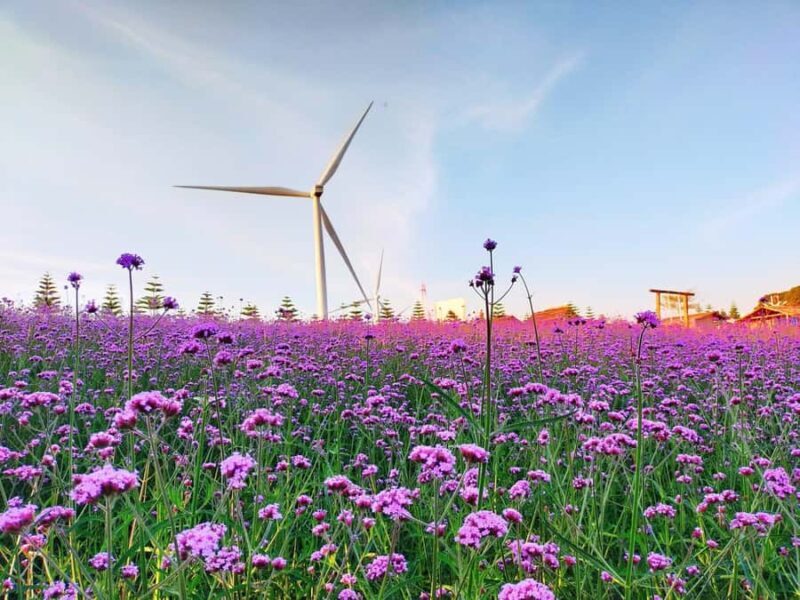 Khao Kho: 3D2N Private Car Charter Tour from Bangkok - What Makes This Tour Stand Out