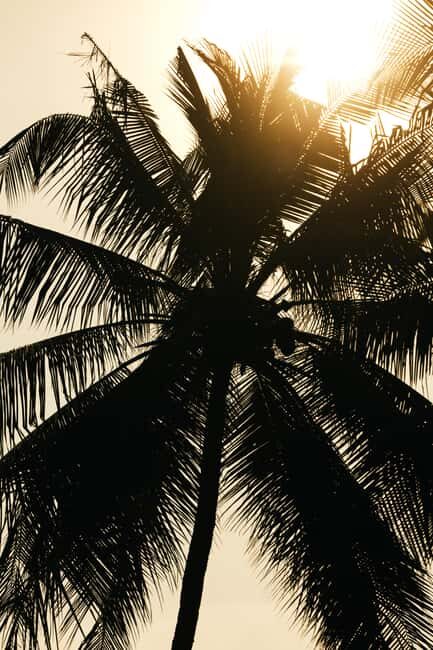 Khao Lak: 1.5-Hour Small Group Surfing Experience - FAQ