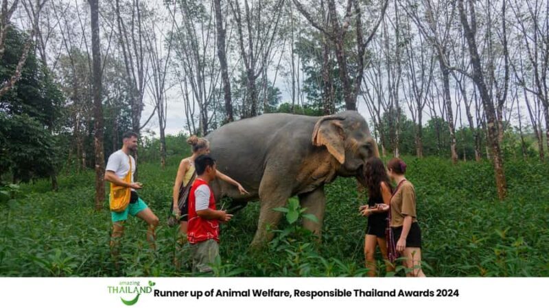 Khao Lak: 2-Hour Elephant Sanctuary Eco-Walk with Guided - A Detailed Look at the Experience