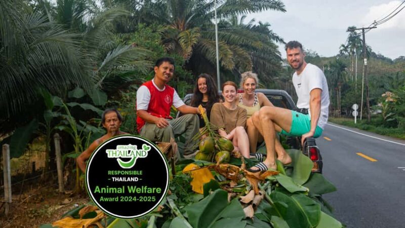 Khao Lak: All-Day Elephant Sanctuary Experience Small Groups - An Honest Look at the Experience