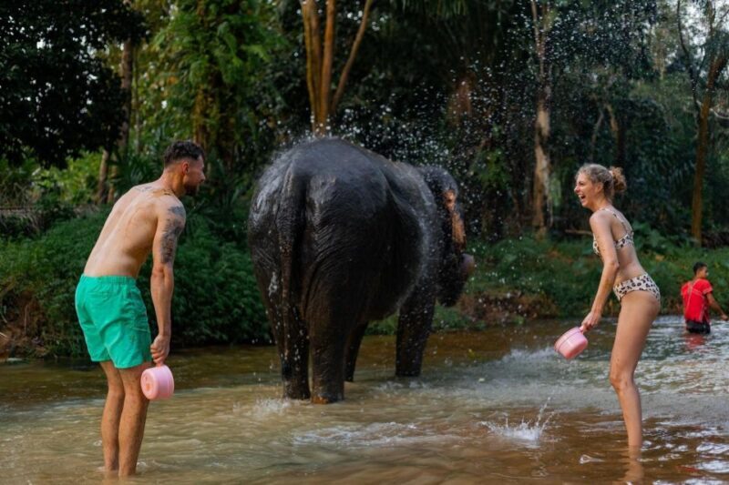 Khao Lak: All-Day Elephant Sanctuary Experience Small Groups - FAQ
