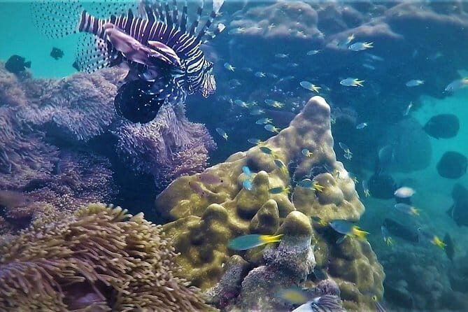 Khao Lak any hotel to Krabi airport Private transfer - Price and Value