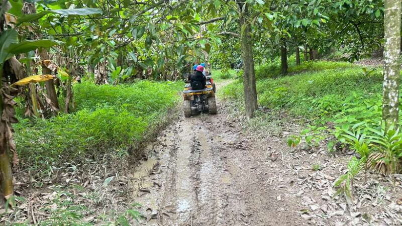 Khao Lak: ATV Park Quad-Bike Tour - Key Points