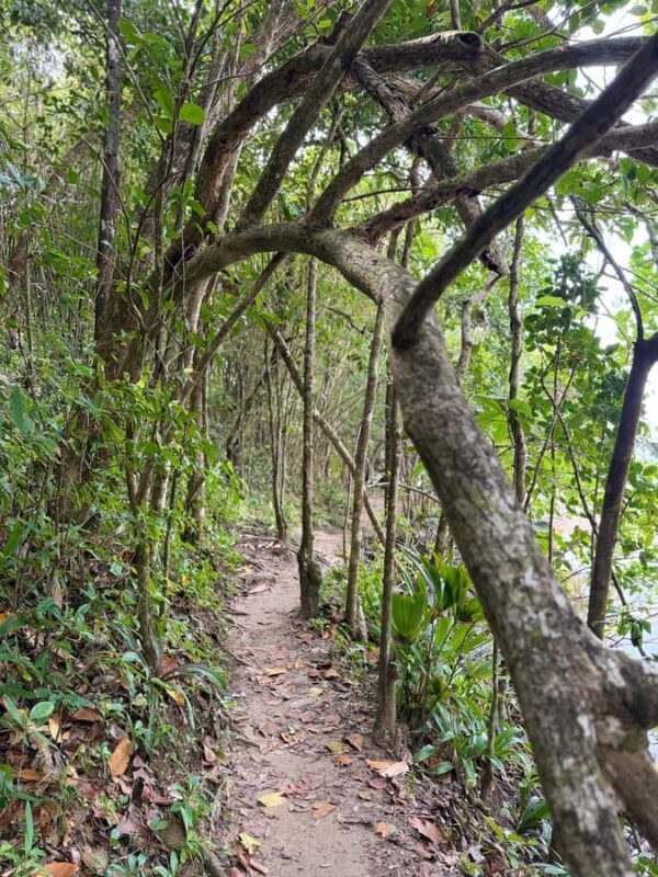 Khao Lak: Bamboo rafting,Lam Pi Waterfall, Small Sandy Beach - What Do the Reviews Say?