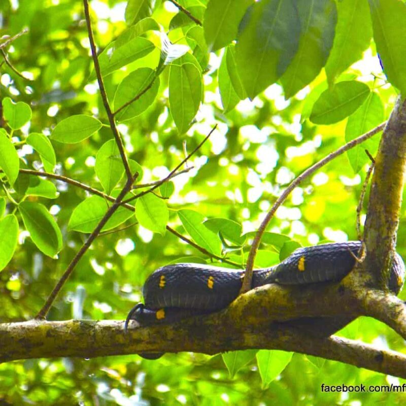 Khao Lak: Bamboo rafting,Lam Pi Waterfall, Small Sandy Beach - Practical Details