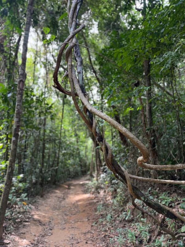 Khao Lak: Bamboo rafting,Lam Pi Waterfall, Small Sandy Beach - Who Will Love This Tour?