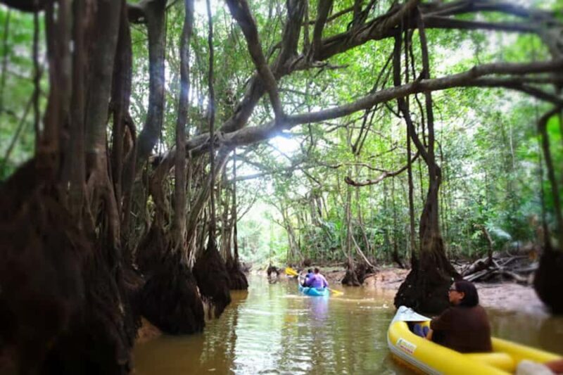 Khao Lak: Canoe Little Amazon & Trekking National Park - Key Points