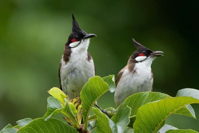 Khao Lak: Canoe Little Amazon & Trekking National Park - An In-Depth Look at the Tour Experience