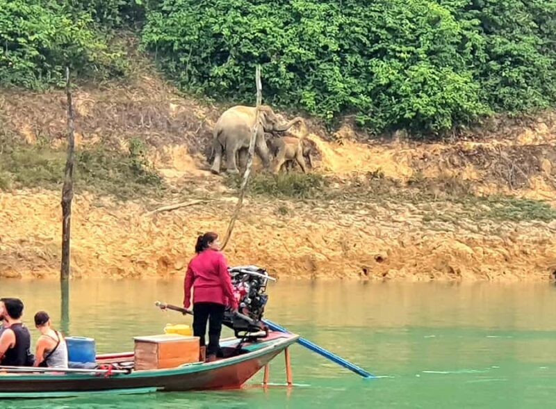 Khao Lak: Cheow Lan Lake, Diamond Cave, Hiking, All Included - Practical Tips for Travelers