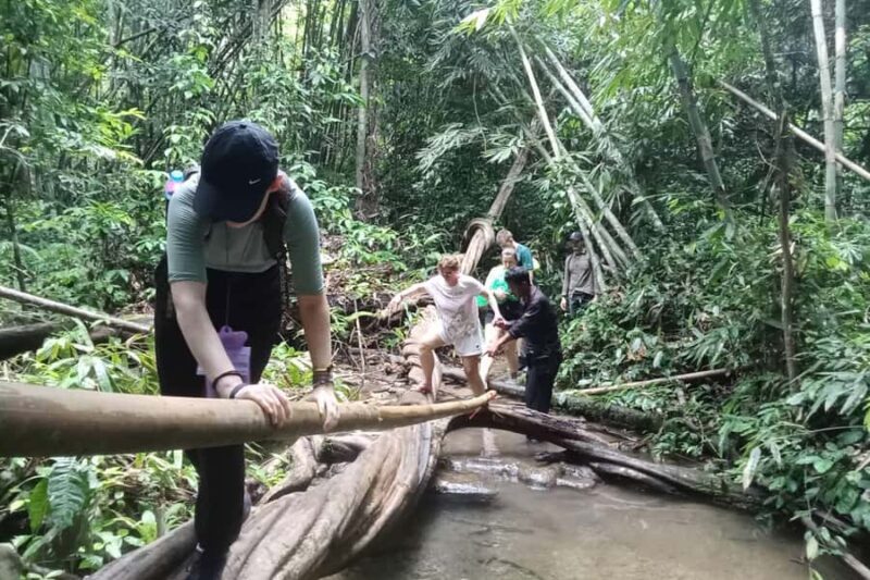 Khao Lak: Cheow Lan Lake, Diamond Cave, Hiking, All Included - Final Thoughts