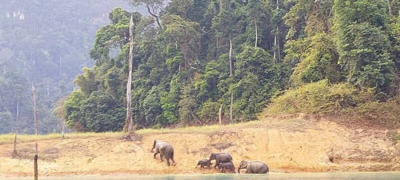 Khao Lak: Cheow Lan Lake Romantic Sunset Cruise with Drinks - Practical Considerations