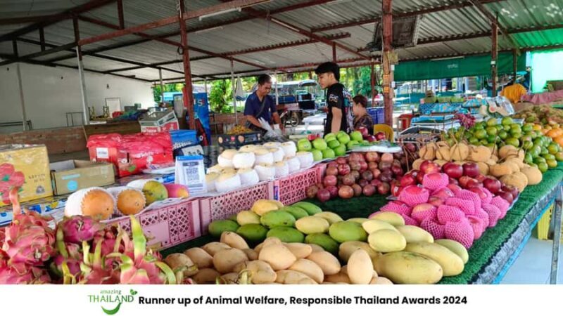 Khao Lak Cooking Class & ATV Adventure Tour Experience - Discovering the Khao Lak Cooking Class & ATV Adventure Tour Experience