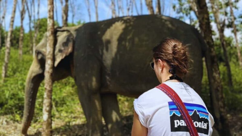 Khao Lak Eco-Safari: Elephants, Tsunami Museum, and Turtles - FAQ