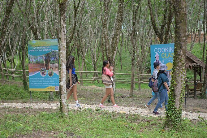 Khao Lak Eco-Safari: Elephants, Tsunami Museum, and Turtles - What’s the Value?