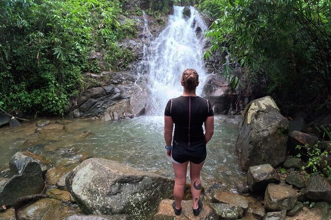 Khao Lak Eco-Safari: Elephants, Tsunami Museum, and Turtles - The Sum Up