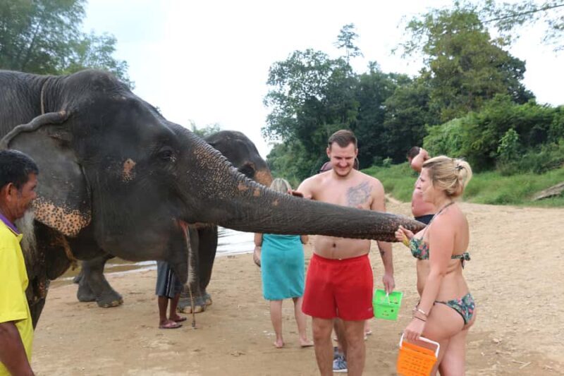 Khao Lak: Elephant Bathing and Bamboo Rafting Day Trip - FAQ