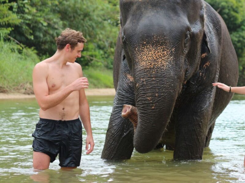 Khao Lak: Elephant Bathing and Turtle Center Visit - What’s Included and How It Works