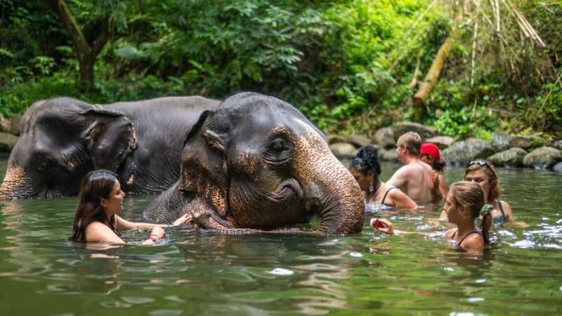 Khao Lak: Elephant Camp, Bamboo Rafting, and Waterfall Tour - Starting with a Comfortable Pickup