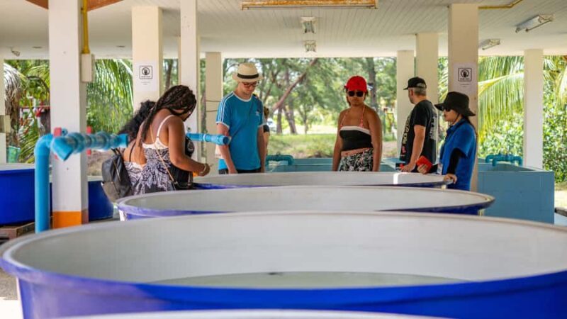 Khao Lak: Elephant Camp, Bamboo Rafting, and Waterfall Tour - Wrapping Up & Return to Khao Lak