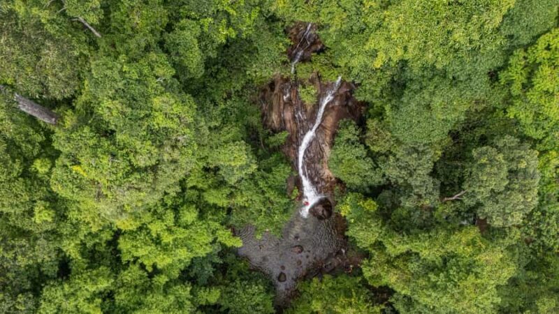 Khao Lak: Elephant Camp, Bamboo Rafting, and Waterfall Tour - Practical Details & What You Need to Know