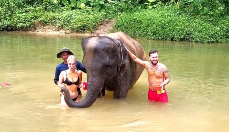 Khao Lak: Elephant Sanctuary Guided Tour - Introduction