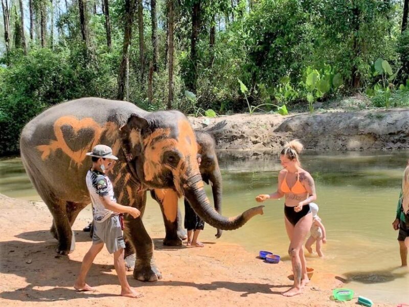 Khao Lak: Elephant Sanctuary Guided Tour - Key Points