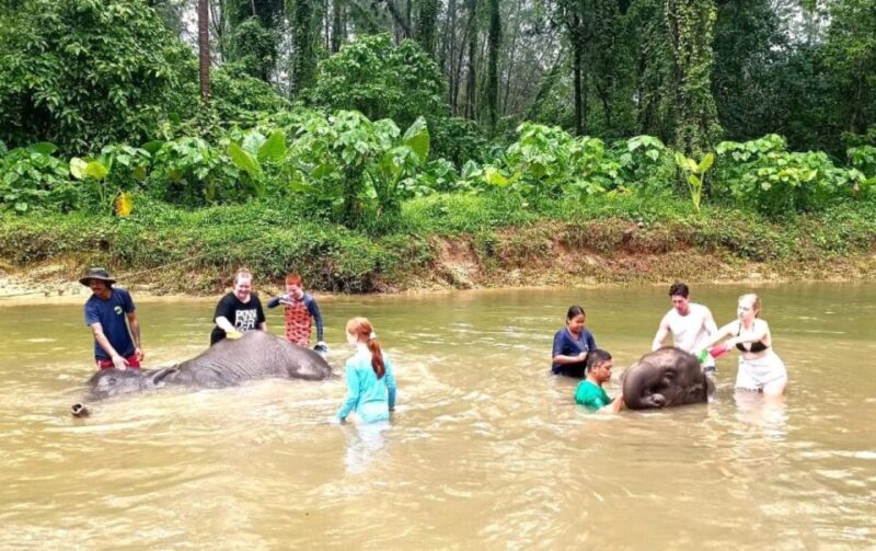 Khao Lak: Elephant Sanctuary Guided Tour - Detailed Breakdown of the Itinerary